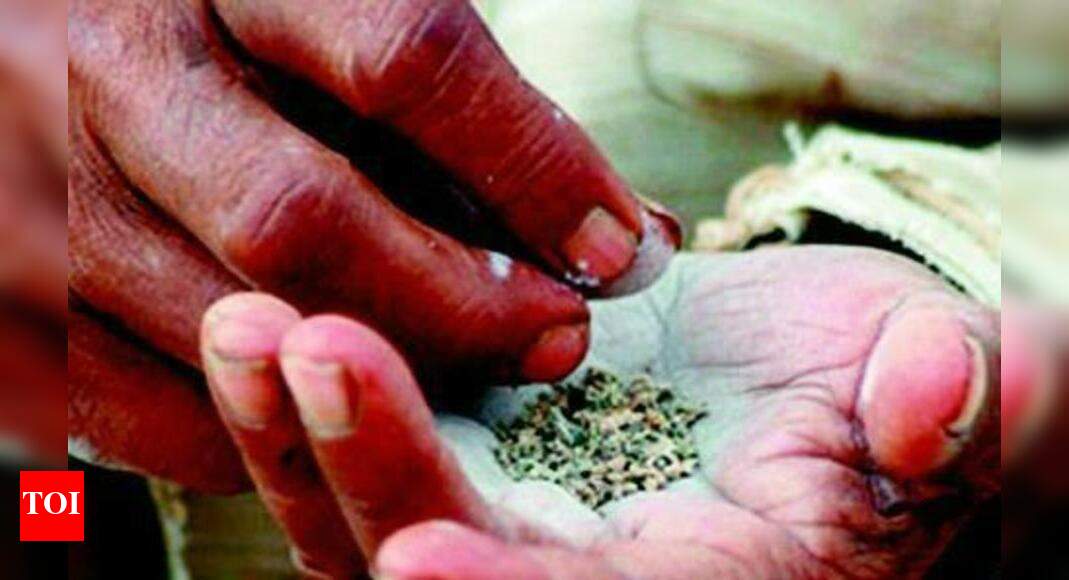 Ban on gutka extended for a year | Delhi News - Times of India