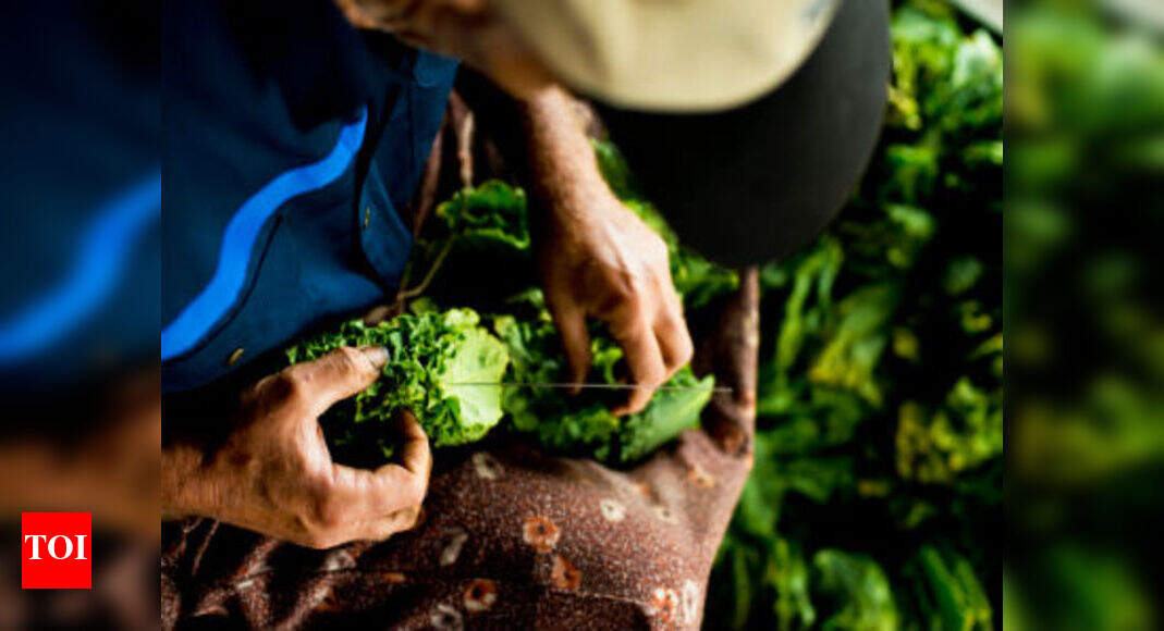 Ban on gutka extended for a year - Times of India