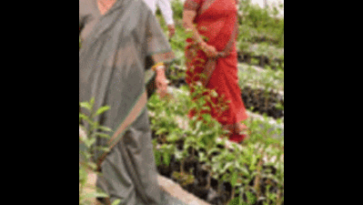 Rajasthan government opens centre of excellence in Kota | Jaipur News ...
