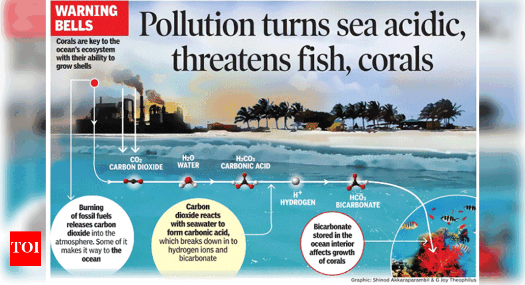 Warning bells: Pollution turns sea acidic, threatens fish, corals ...