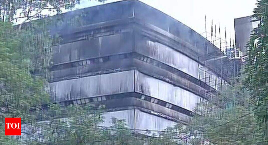 Massive fire destroys Delhi's National Museum of Natural History, parts ...