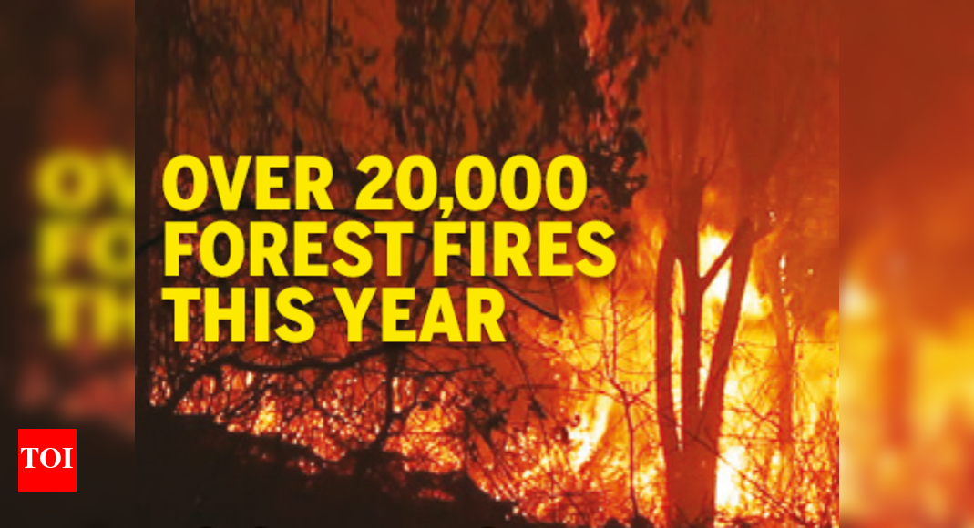 Over 20,000 forest fires this year | India News - Times of India