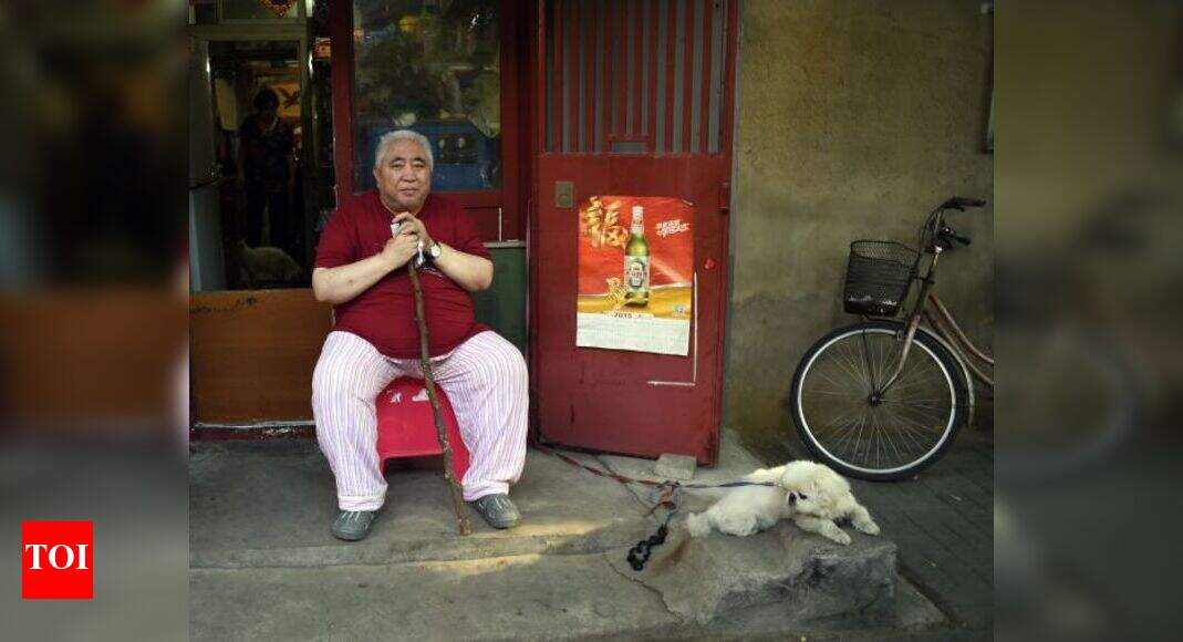 Chinese scientists claim first dogs originated in China - Times of India