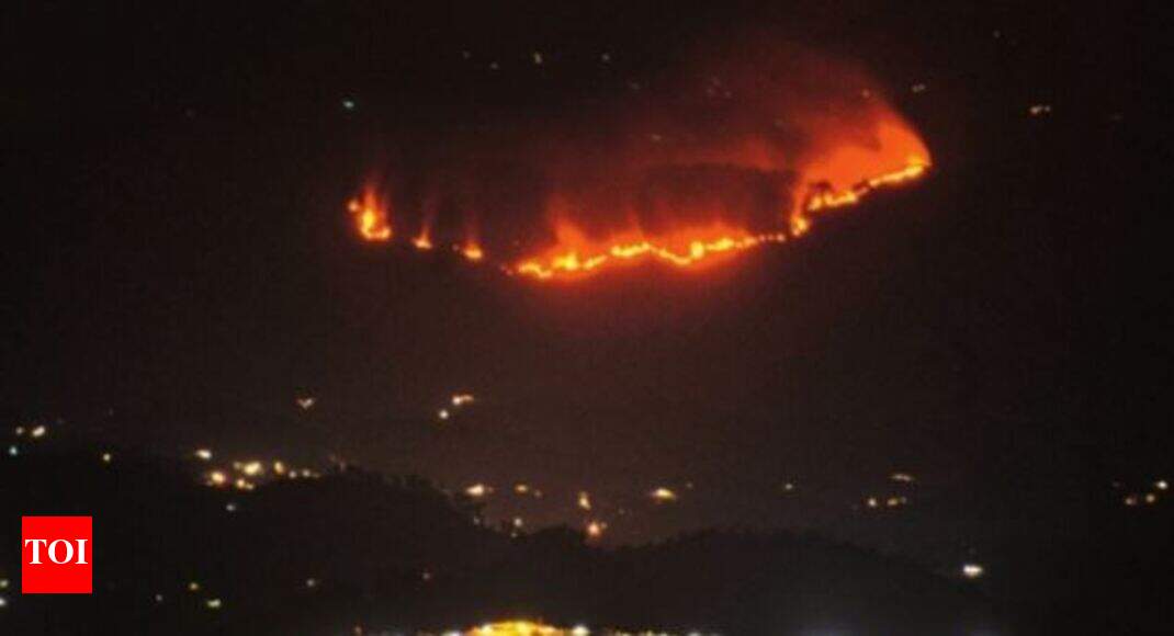 In Shimla, 8 forest fires in 3 days | Shimla News - Times of India
