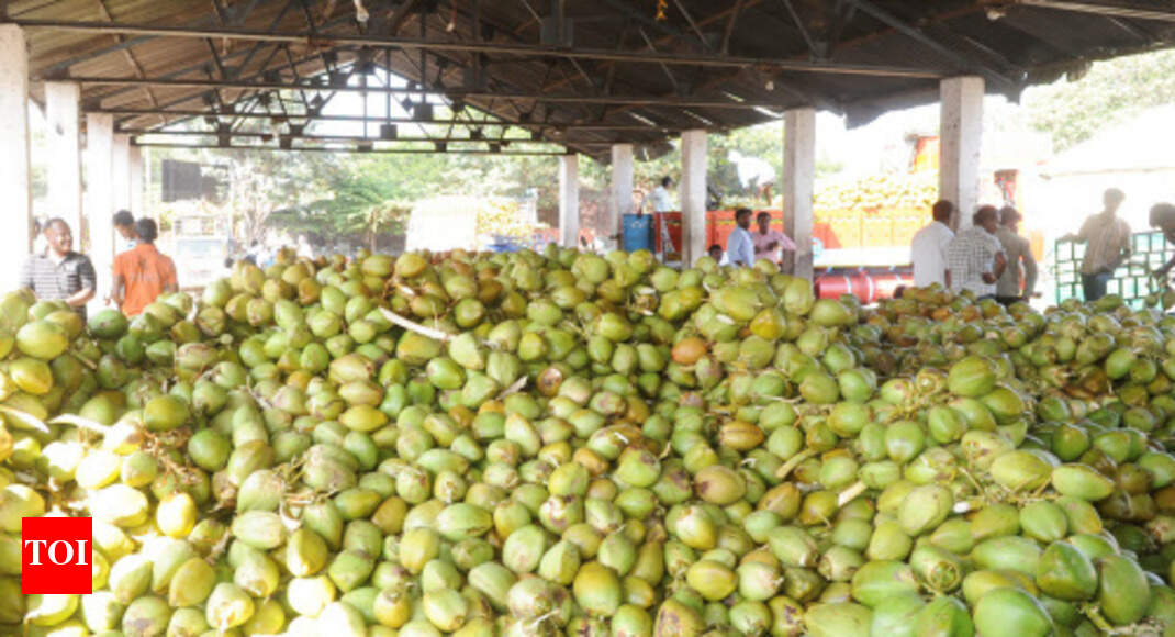 Coconut prices likely to remain static - Times of India