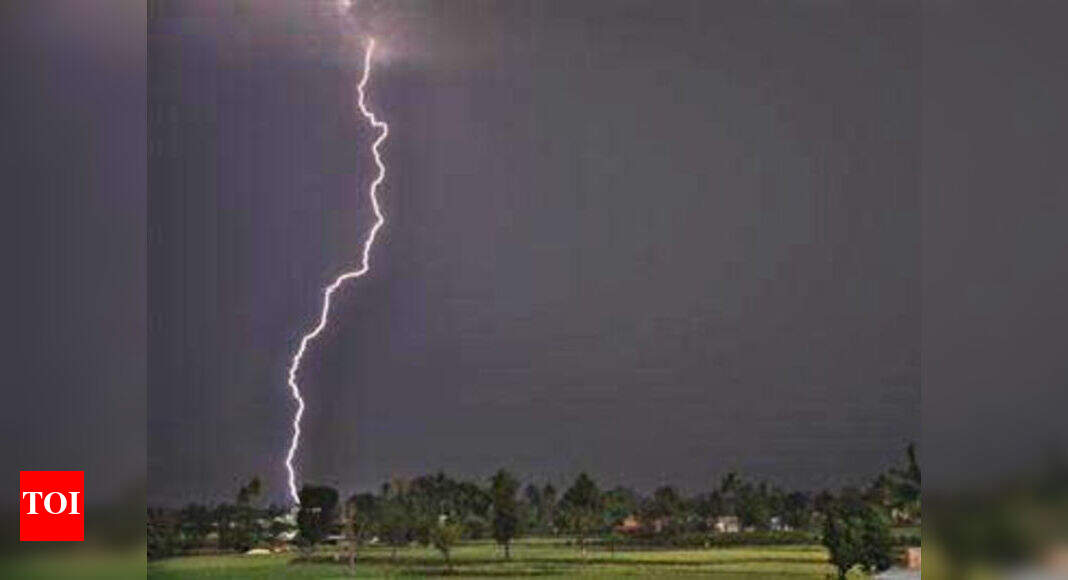Lightning kills 29 in Bangladesh - Times of India