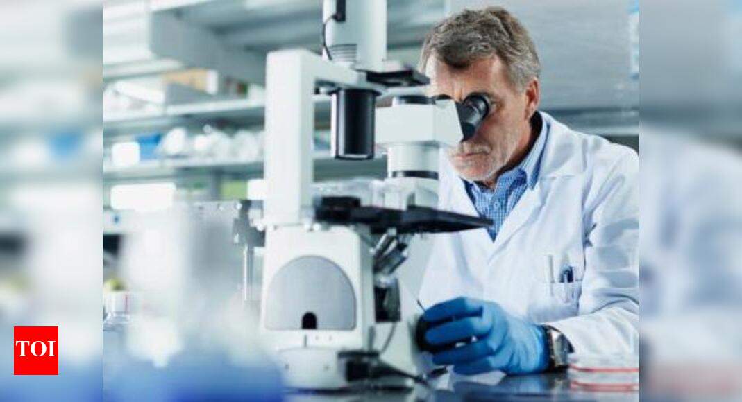 Agra to get high tech food testing lab | Agra News - The Times of India