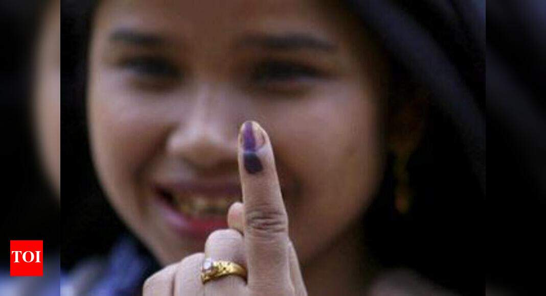 Show your inked finger and get a free movie ticket! - Times of India