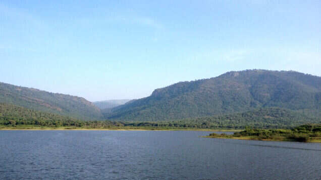 MM Hills, Karnataka - TimesTravel