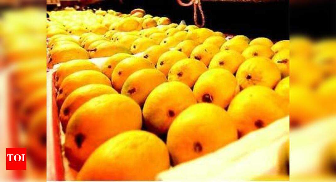 Mango Production In Karnataka Could Dip By Around 2l Tonnes Mangaluru News Times Of India