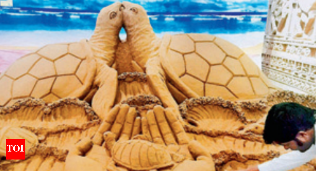 World Turtle Day: Turtle conservation slow, yet to catch on | Lucknow ...