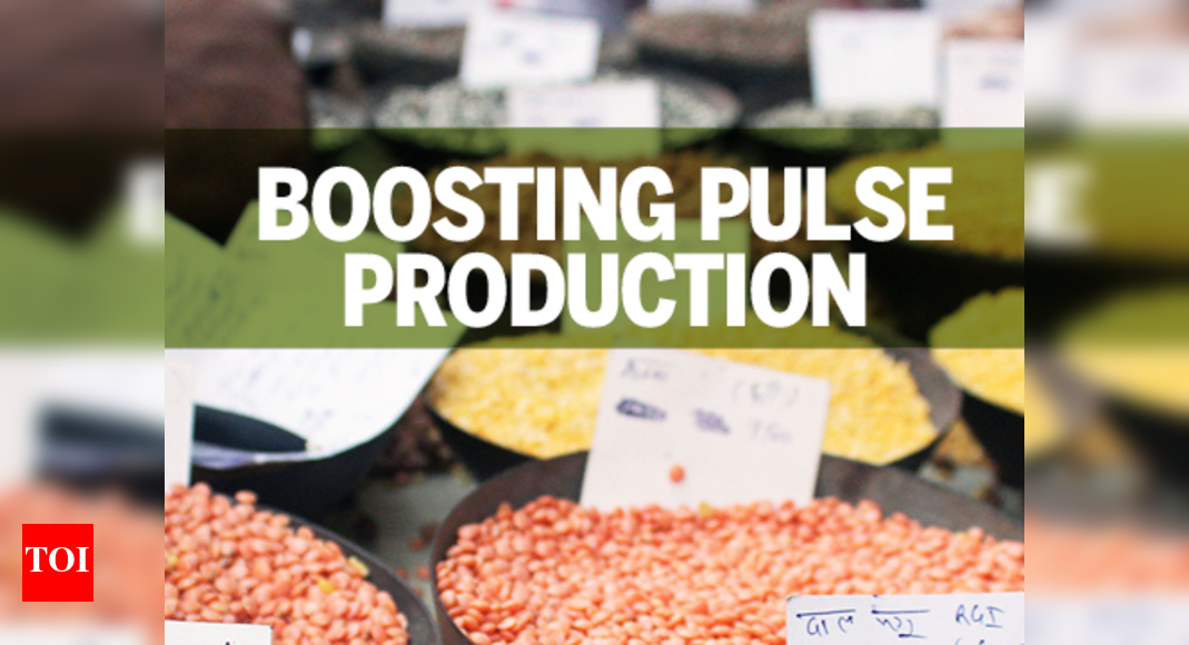 Govt’s 5-year roadmap to up production of pulses | India News - Times ...