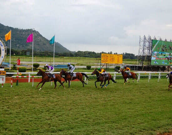 Spend a day at the races - Mysore: Get the Detail of Spend a day at the ...