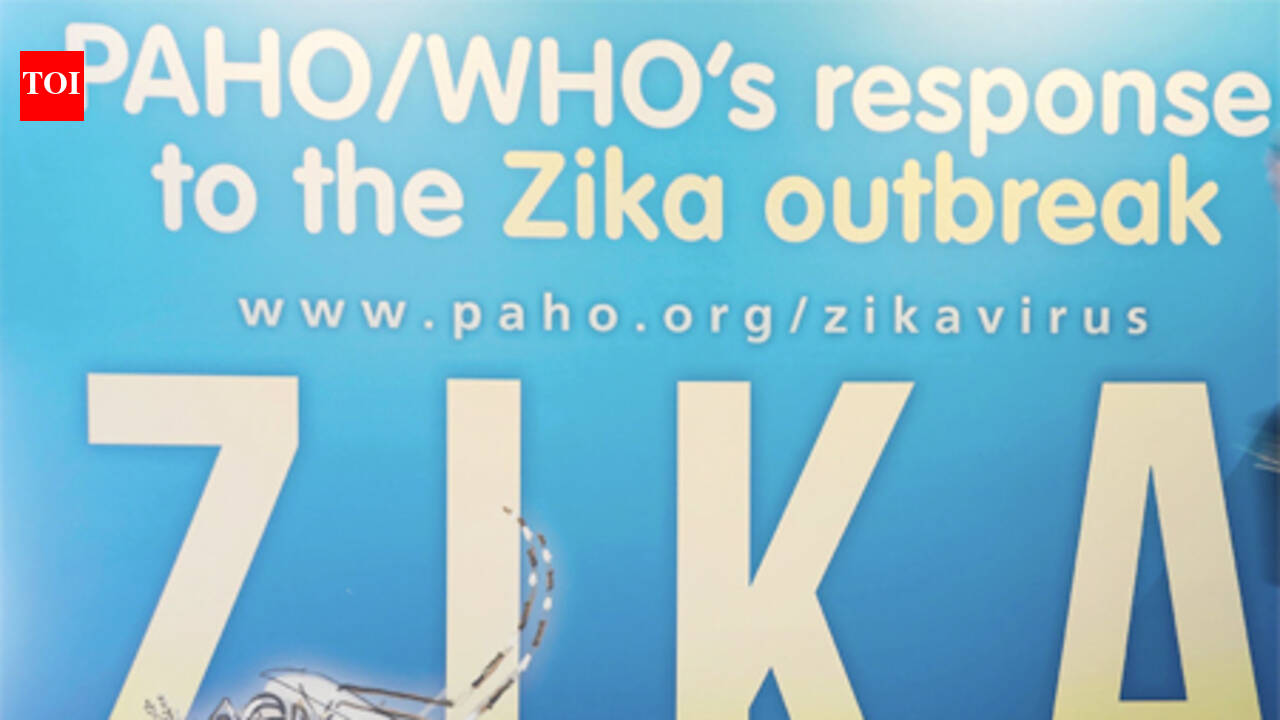 Olympics should move due to Zika concerns, say 150 experts | More ...