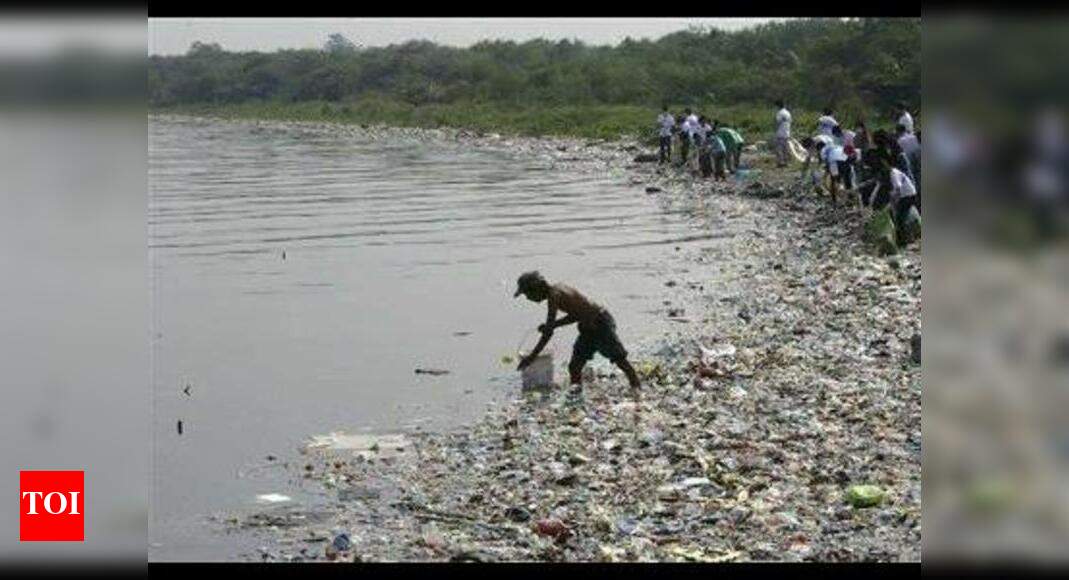 India ranks 11th in global ocean clean-up drive | India News - Times of ...