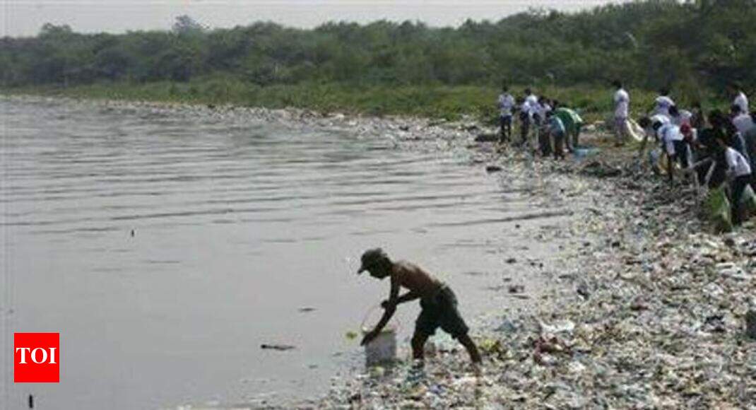 India ranks 11th in global ocean clean-up drive | India News - Times of ...