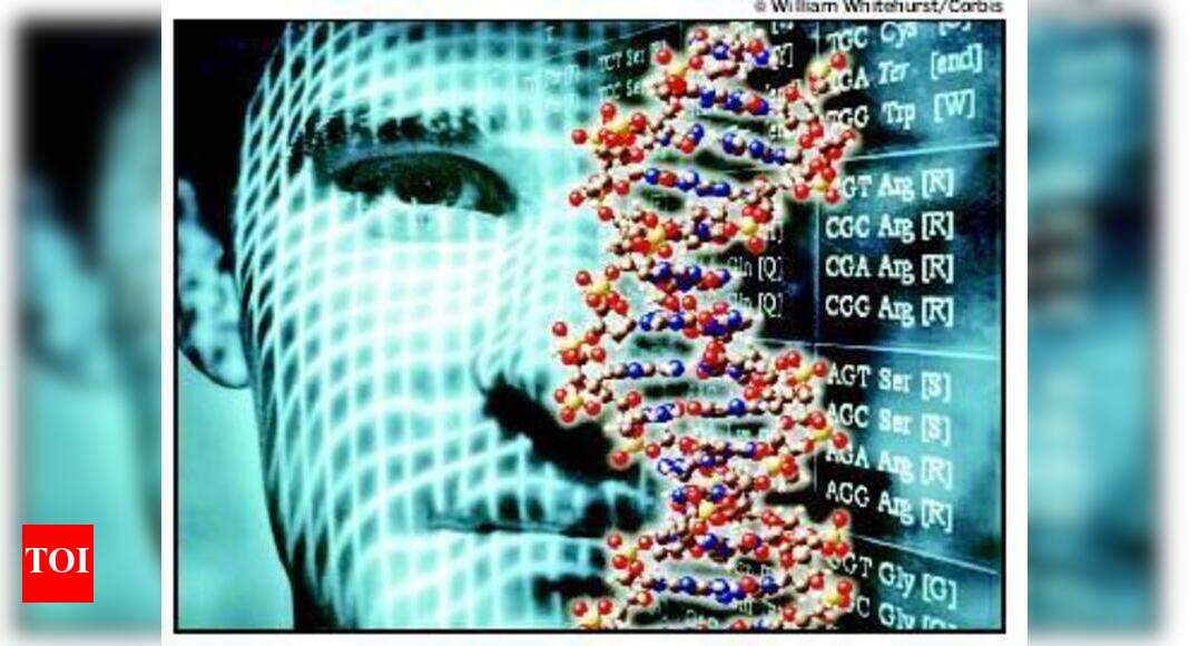 New method to create 3D nanoparticles from DNA - Times of India