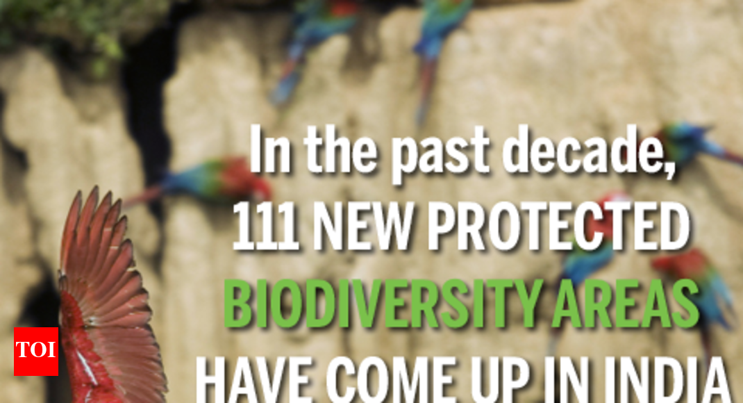 India gets 111 new protected biodiversity areas | India News - Times of ...