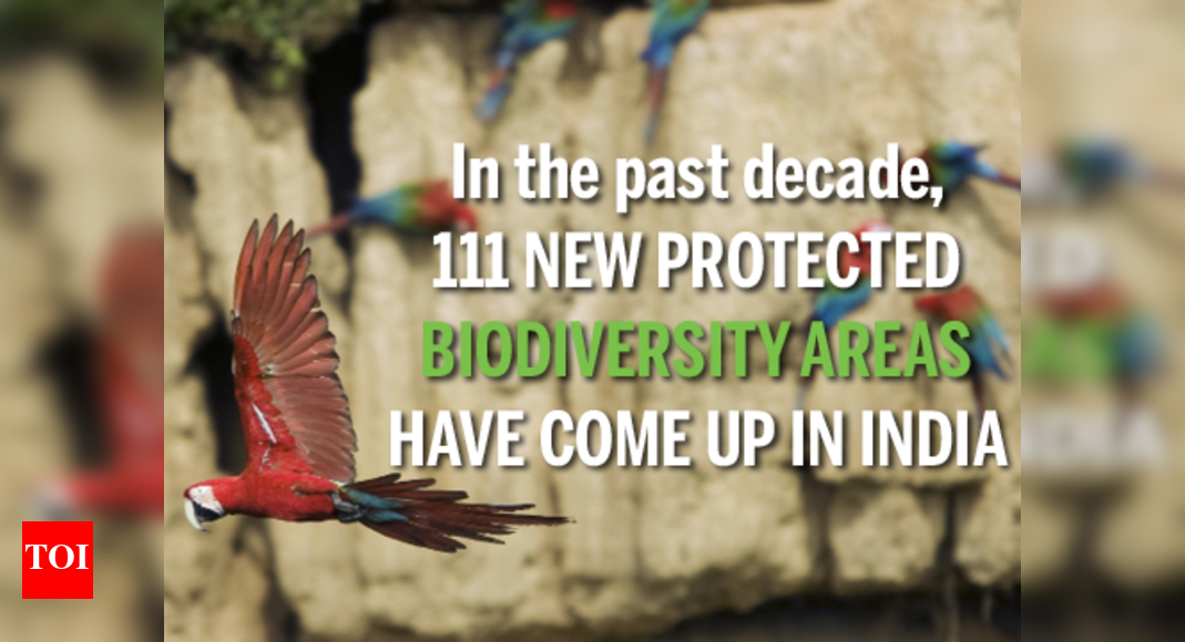 India gets 111 new protected biodiversity areas | India News - Times of ...
