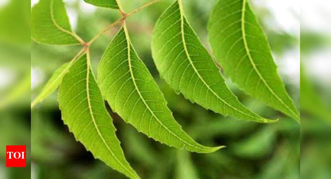 Farmers to benefit from IFFCO's neem scheme - Times of India