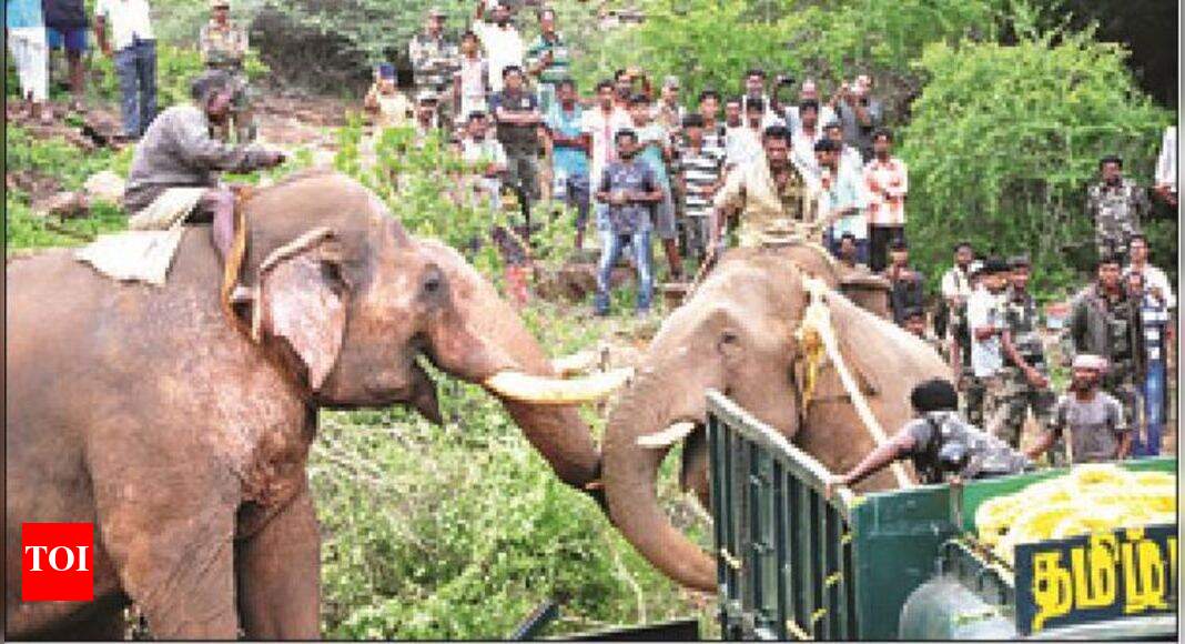 Madukkarai Maharaj: Madukkarai Maharaj's reign comes to end ...