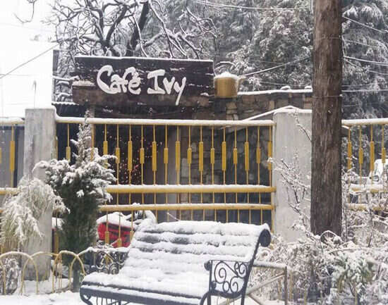 Cafe Ivy, Mussoorie - Get Cafe Ivy Restaurant Reviews on TimesTravel