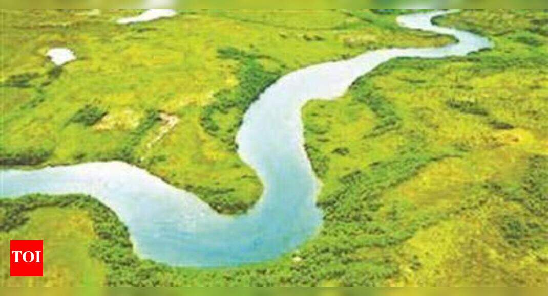 Vishwamitri project to be put on fast track | Vadodara News - Times of ...