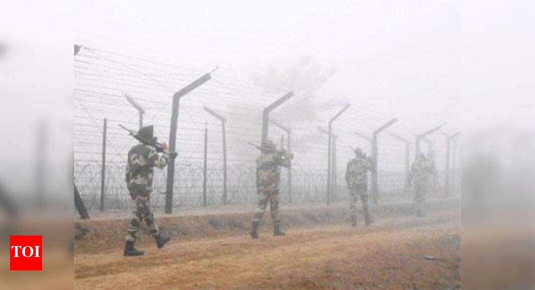 Indo-Bangladesh border fencing to be completed by 2017 - Times of India
