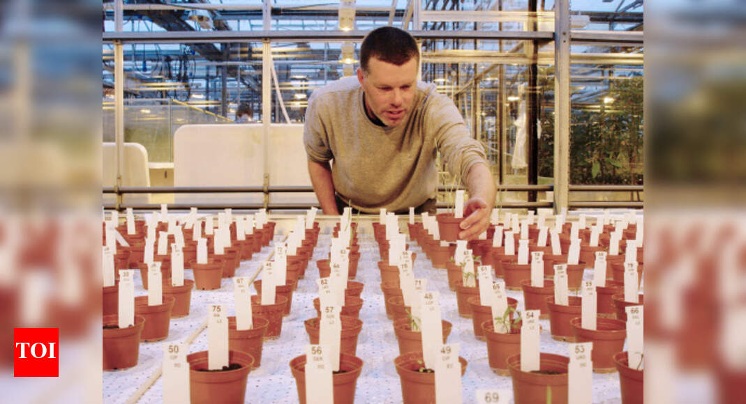 Veggies grown on Mars-like soil found safe for humans - Times of India