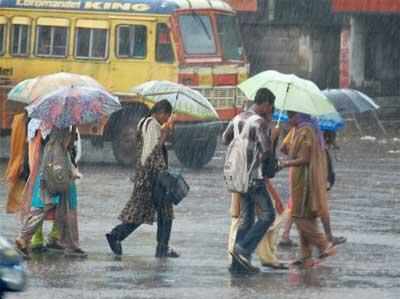 Inadequate rainfall raises concerns | Mumbai News - Times of India