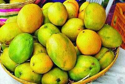 Mango: Andhra Pradesh applies for GI of Banginapalli Mango | Hyderabad ...