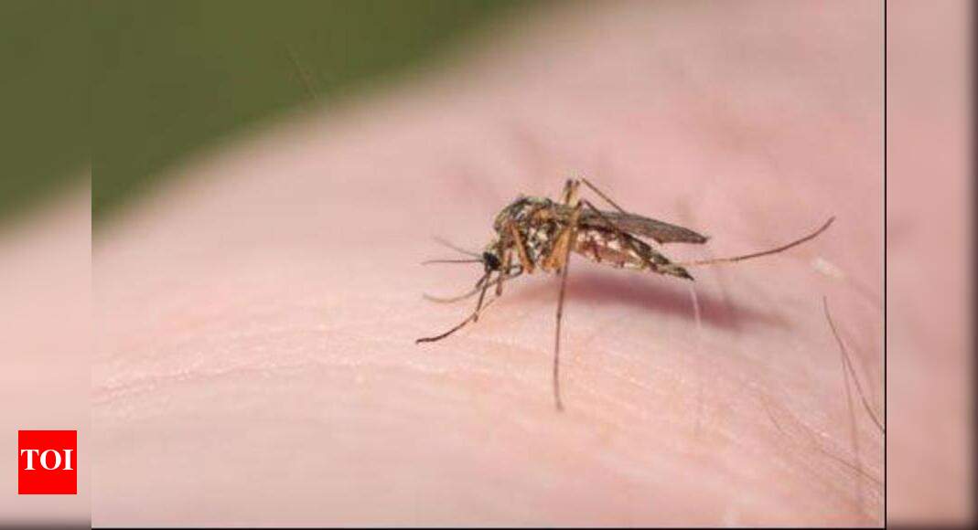 Sharp rise in jaundice, typhoid cases this year | Mumbai News - Times ...