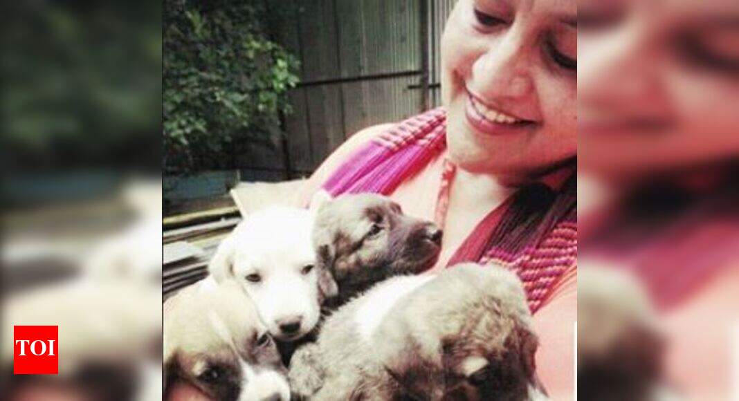 Pet trends: Indian dogs find their way into Bengalureans' hearts and ...