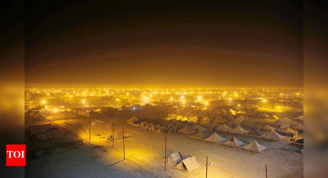 2-day Halasu Mela at Park from July 16 | Mangaluru News - Times of India