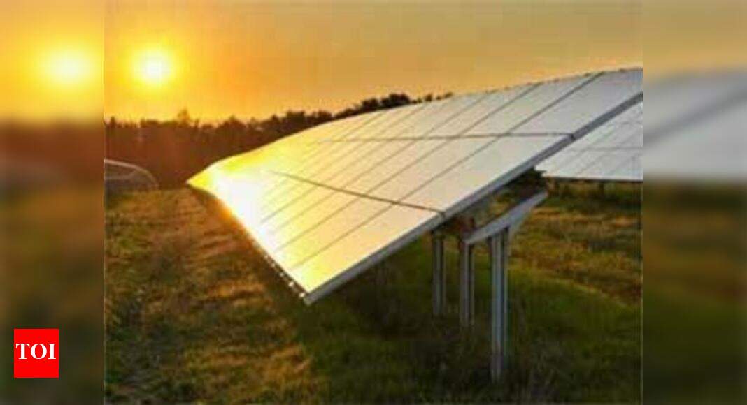 Cial places three more solar bets | Kochi News - Times of India