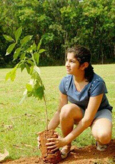 Noida and Greater Noida launch green drive, plant 3000 trees | Noida ...