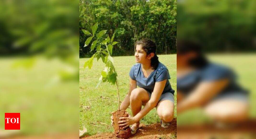 Noida and Greater Noida launch green drive, plant 3000 trees | Noida ...