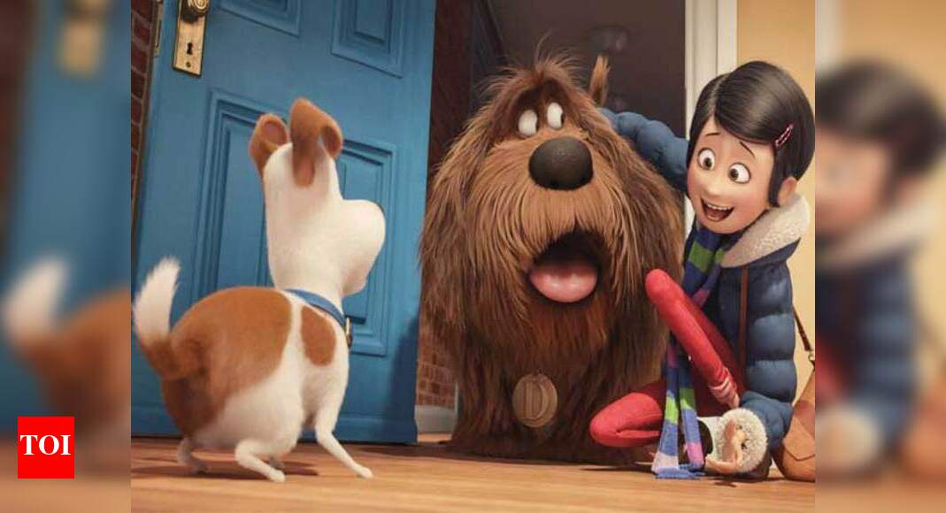 Movie The Secret Life of Pets Review 2016, Story, Trailers | Times of India