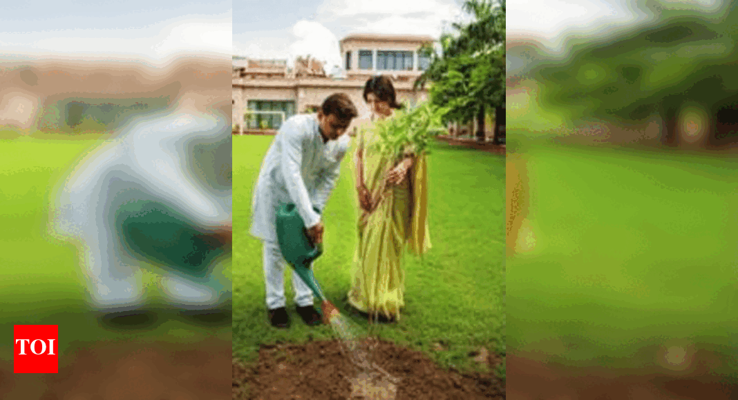 UP creates world record by planting over 5crore trees | Lucknow News ...