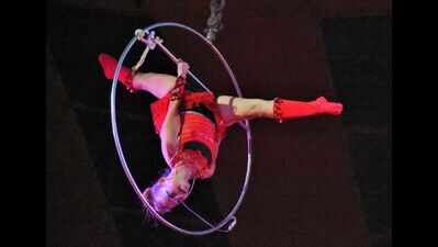 It's a circus sans elephants, horses and even dogs this year | Vadodara ...
