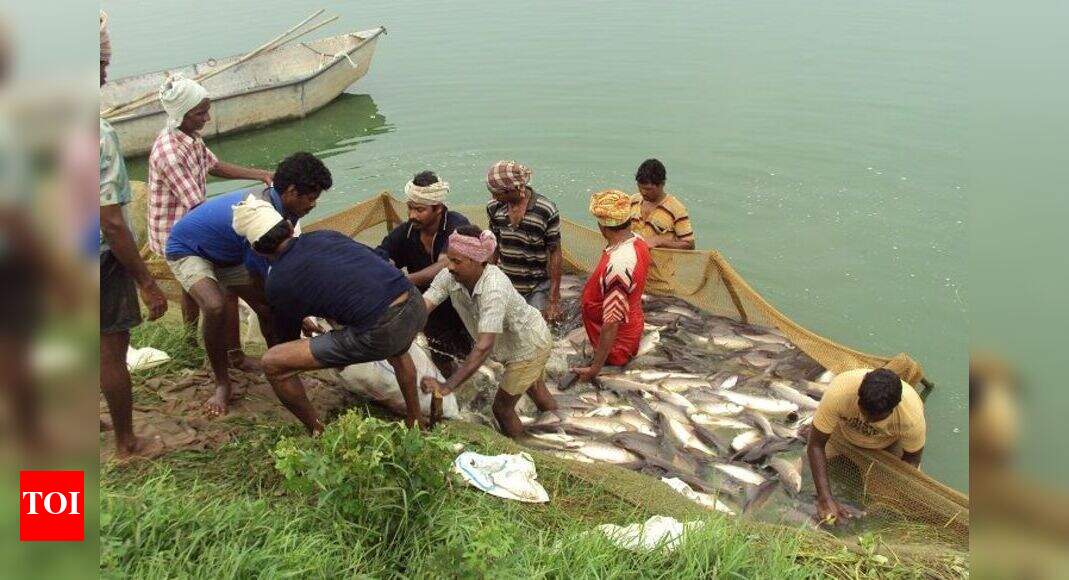 Blue Revolution: Odisha aims to create 400 hectares new water area ...