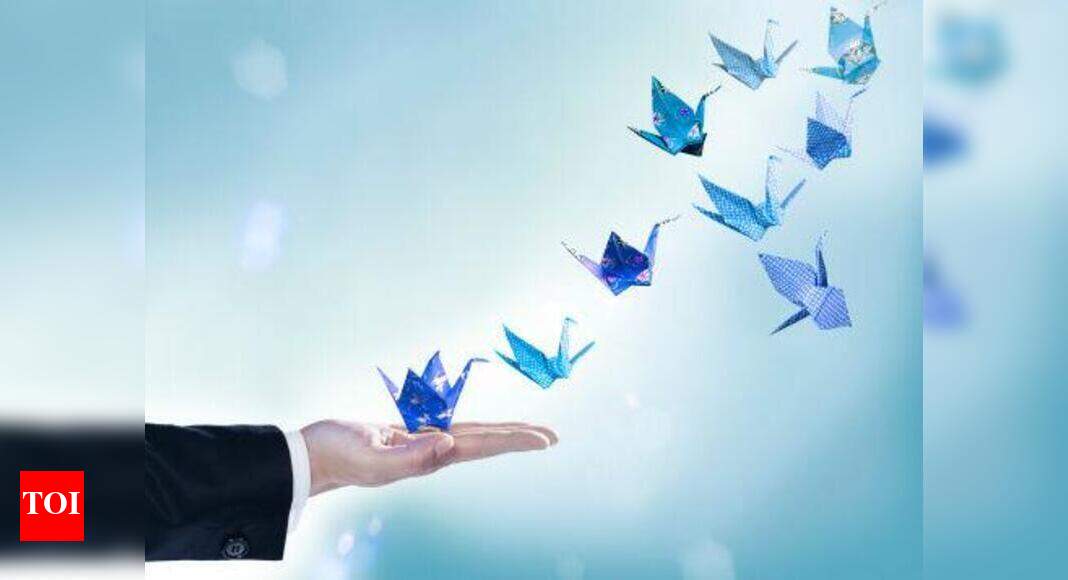 Cash-strapped start-up founder seeks MIT stamp - Times of India