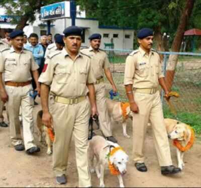 Nine police dogs retire with guard of honour | Ahmedabad News - Times ...