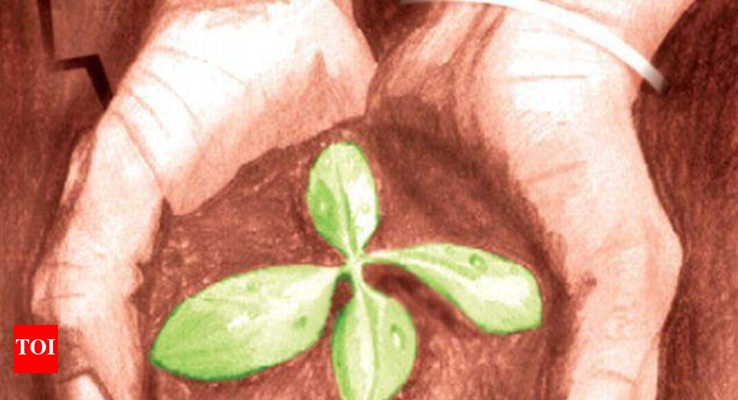 Plantation drive at Yeshwant Club | Indore News - Times of India