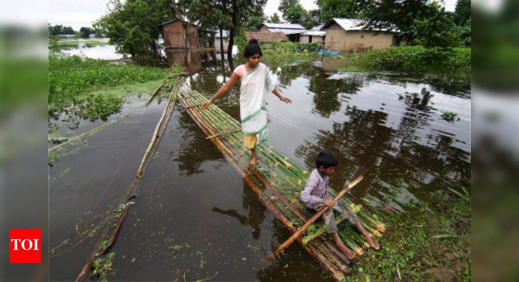 Flood triggers animal migration from Kaziranga National Park | Guwahati ...