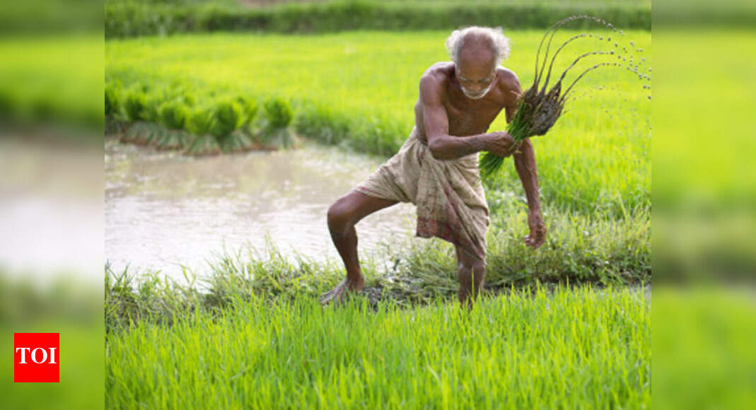 Good monsoon but over 25% of India is still thirsting for rains | India ...