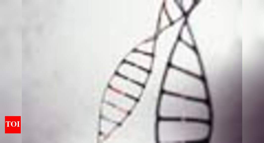 Genetic gift from mom, genetic burden from dad - Times of India