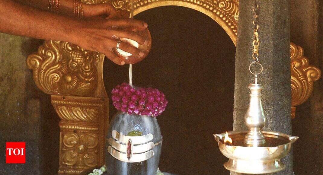 Pandya kings patronised Saivites from MP | Chennai News - Times of India