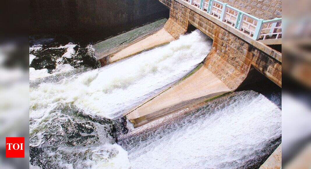 Two Anjunem dam gates opened as waters rise | Goa News - Times of India