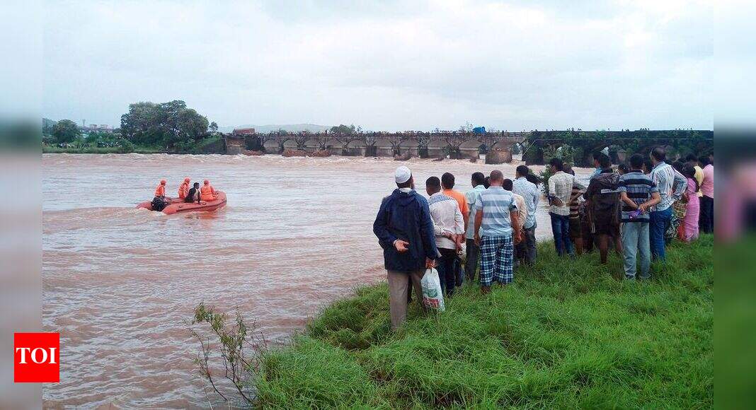 Blame dept, not govt: Goa PWD Minister over Maha bridge collapse | Goa ...